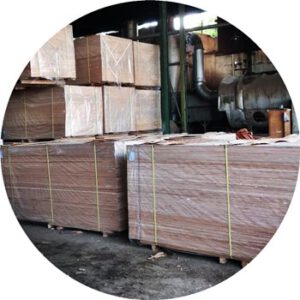 Kayu.co.id | Perusahaan Kehutanan & Industri Kayu